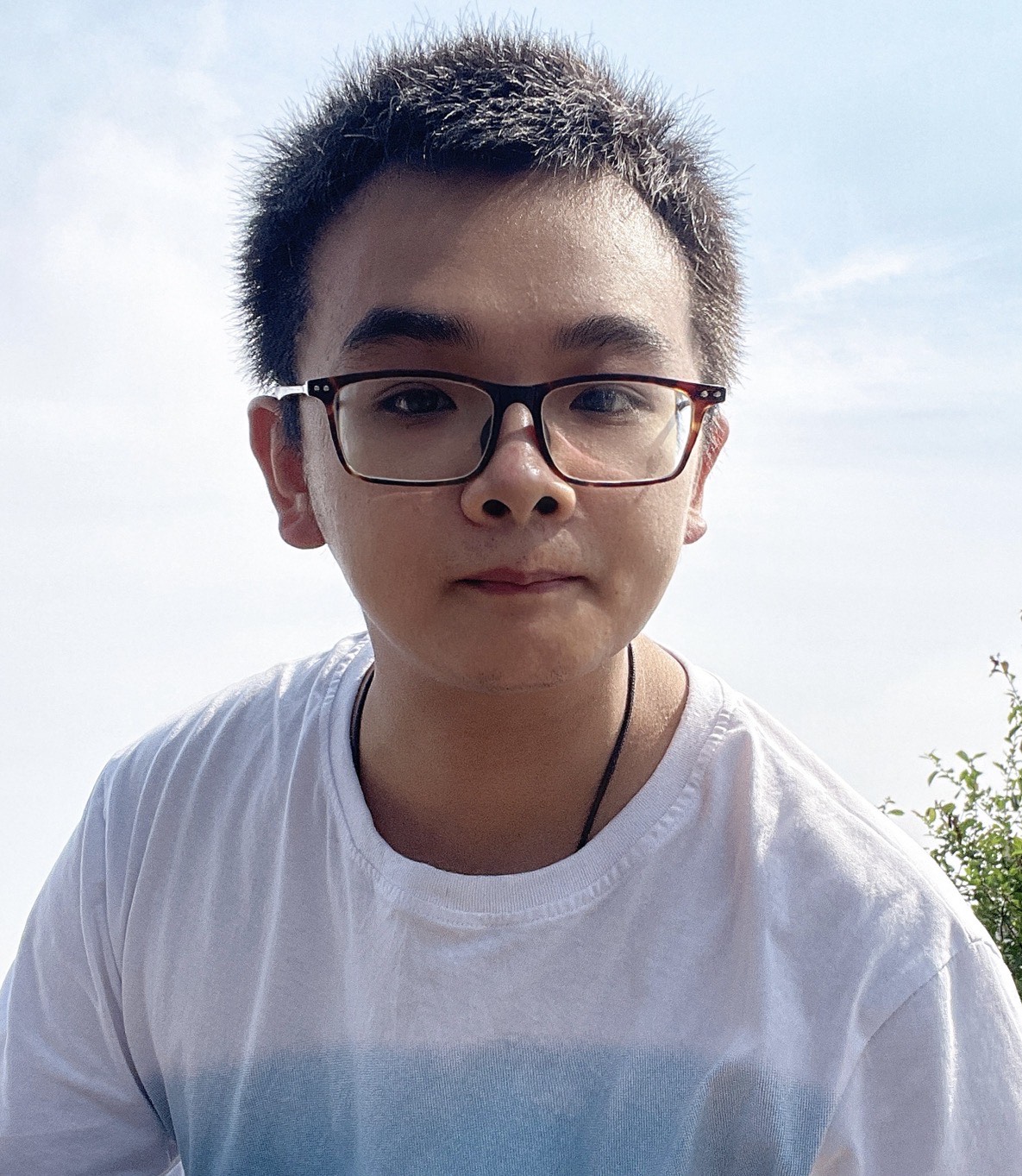 Research Profile - Delin An / HomePage