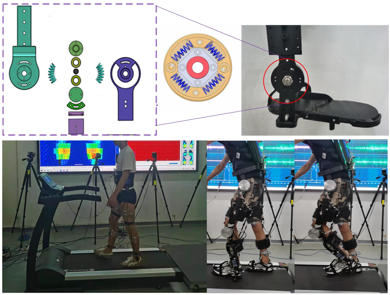 Research Profile - Delin An / HomePage